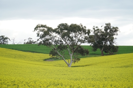 Find Data | Regional Data Hub